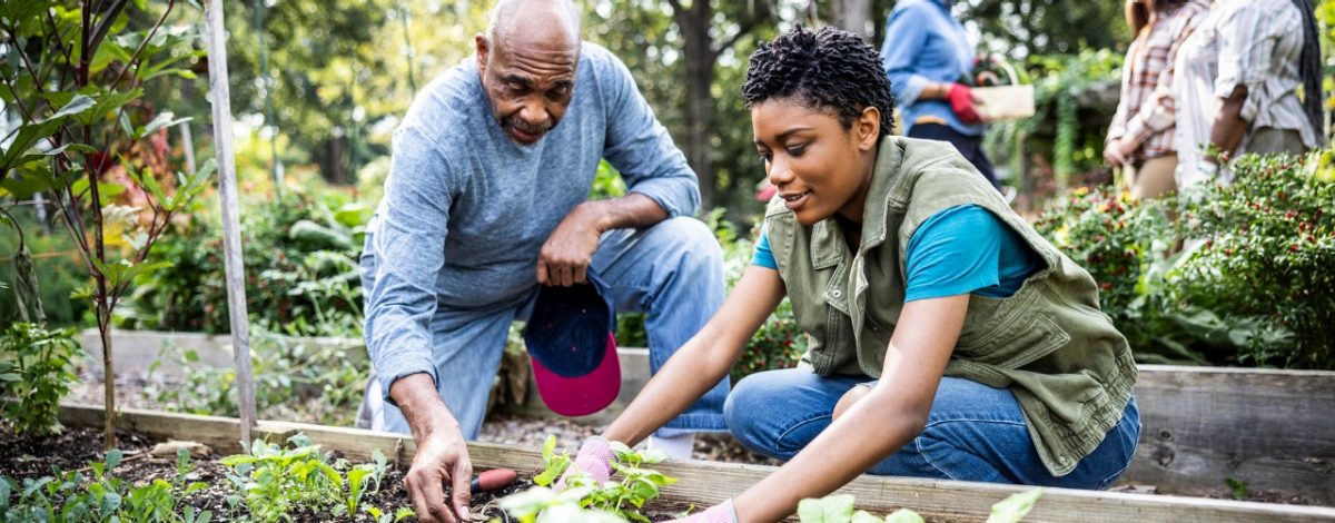 How Food Insecurity Affects Community Health | Elevance Health