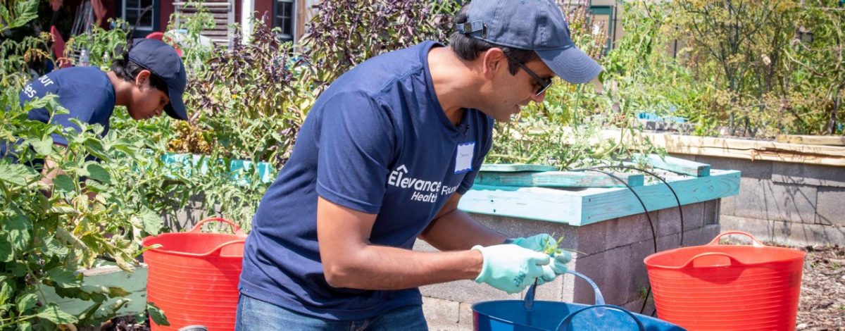 Benefits of Volunteering for Businesses | Elevance Health